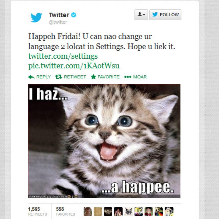 La Lingua dei LOLCAT su Twitter! - AcrossNowhere